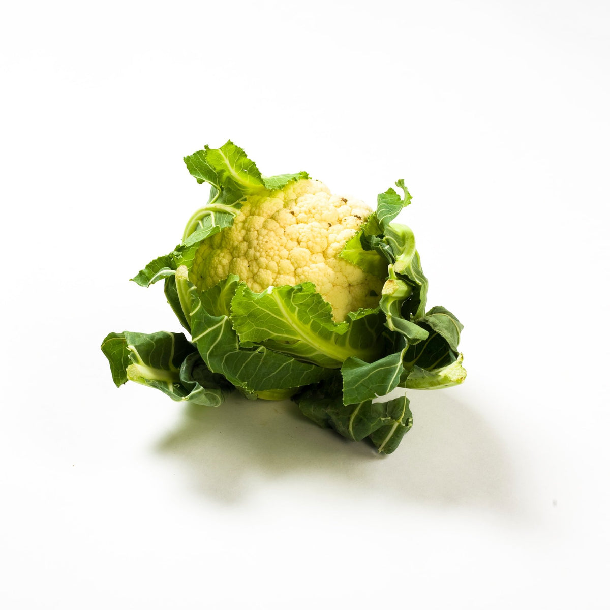 Cauliflower (each) – Organic Delivery Company