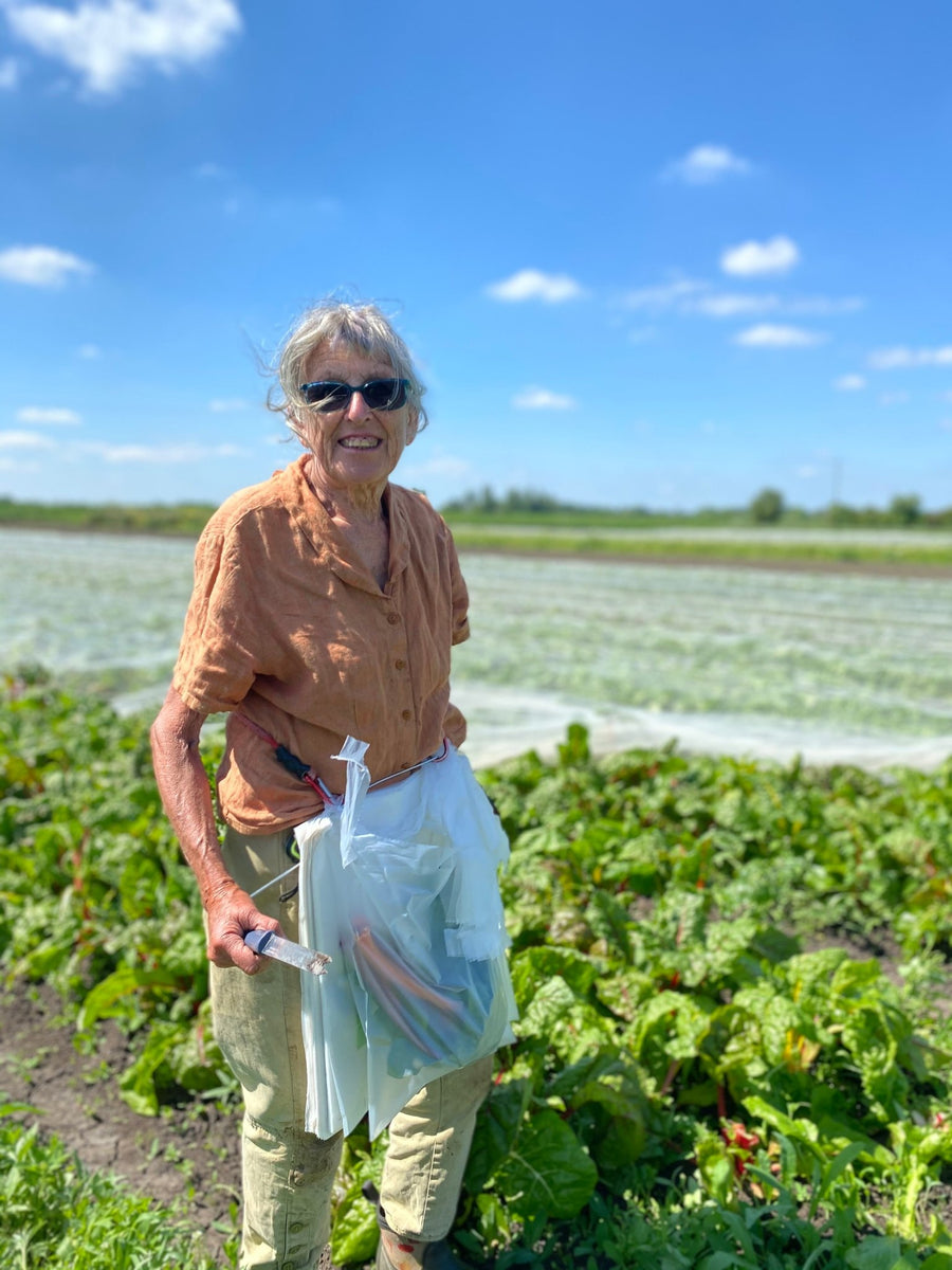 Pam Bowers – Organic Delivery Company