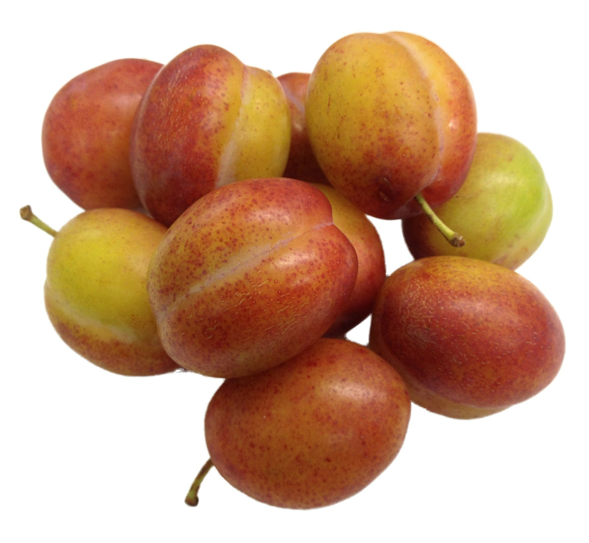 Plums Red 500g – Organic Delivery Company