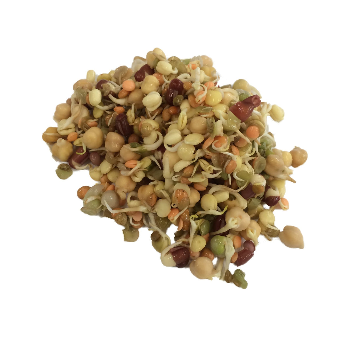 Sky Sprouts Mixed Bean 225g – Organic Delivery Company